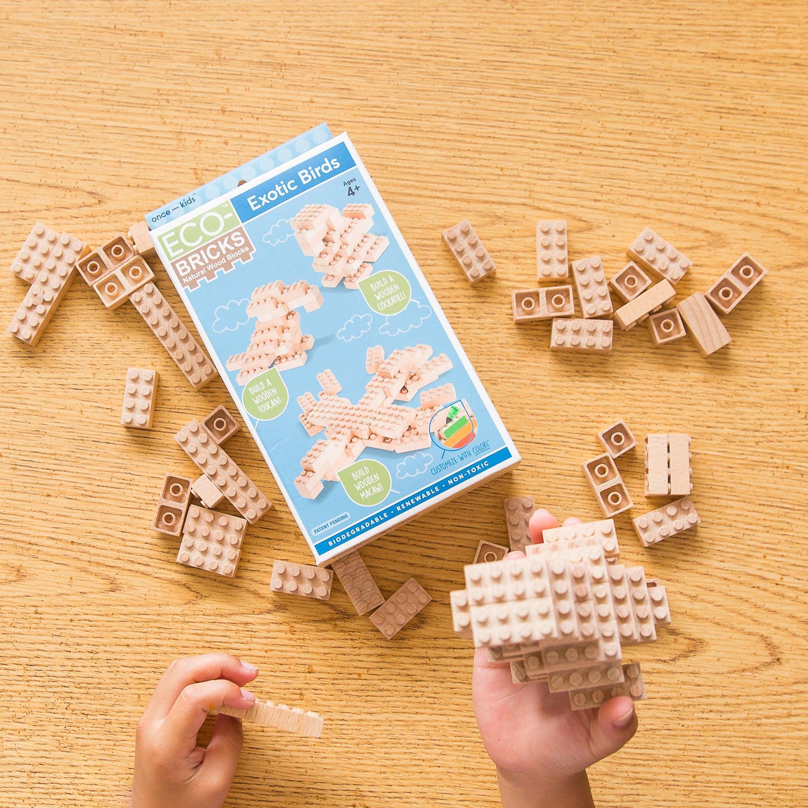 Once Kids Eco-bricks Wood Bricks 3 in 1 Builds - Color Your Own Birds